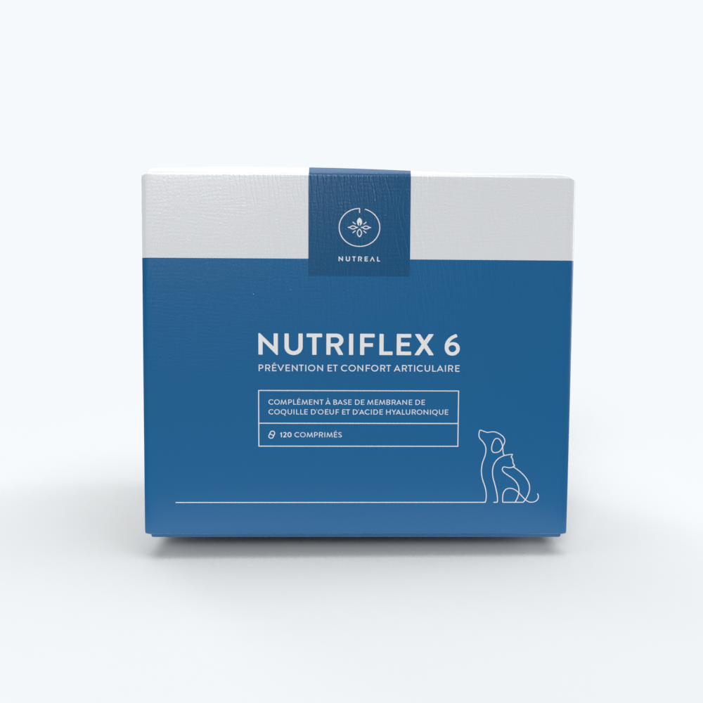 Nutriflex 6 – Nutreal
