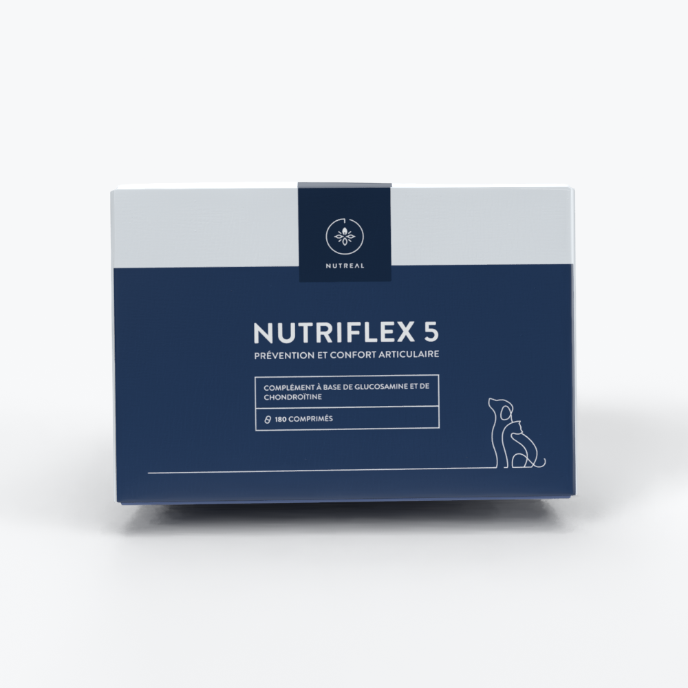 Nutriflex 5 – Nutreal