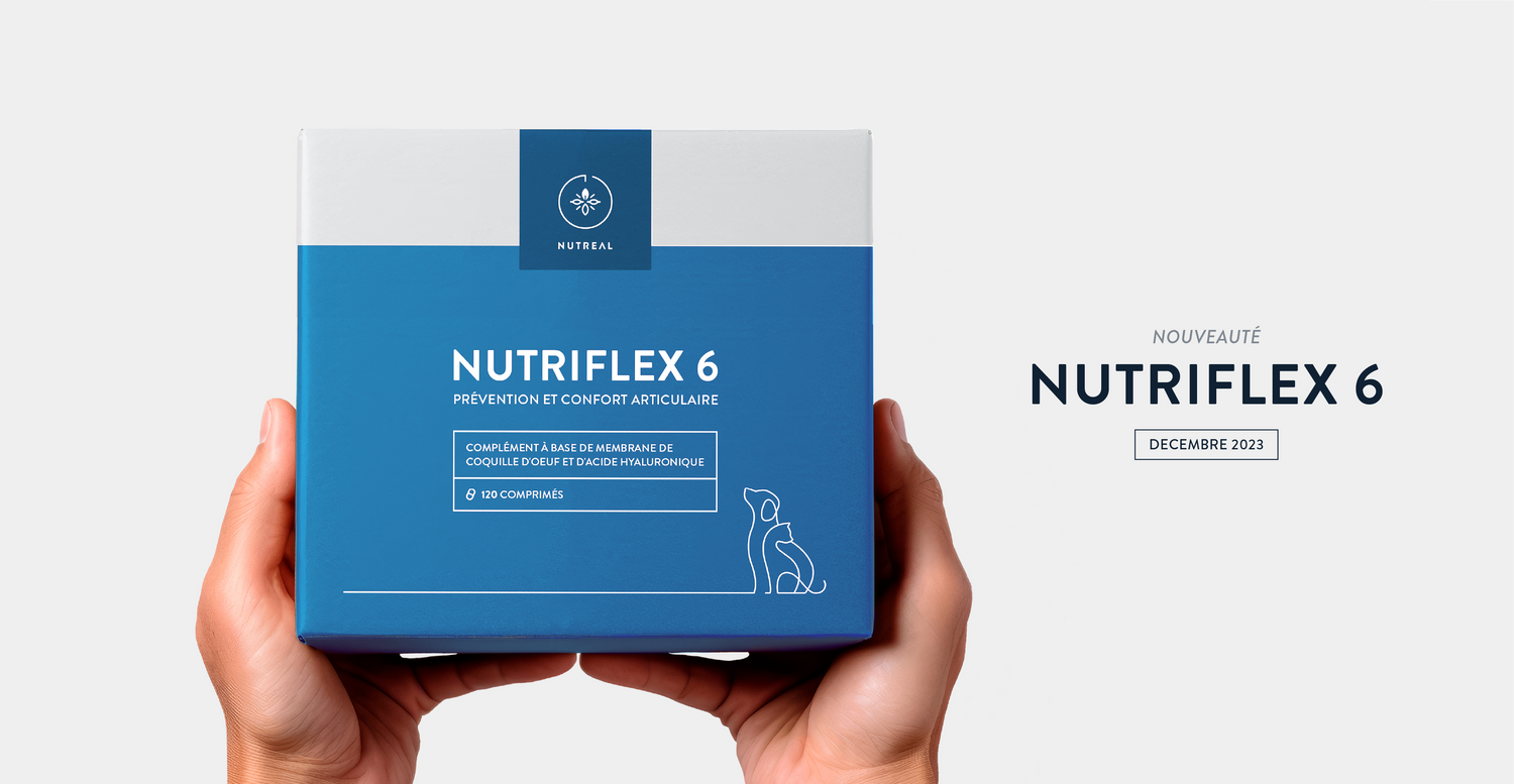 NUTREAL - Compléments alimentaires pour chiens et chats – Nutreal